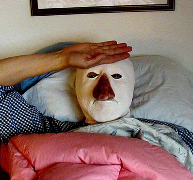 Bird Mask Birdie Foam Latex Mask Cosplay Halloween Masks Made in ...