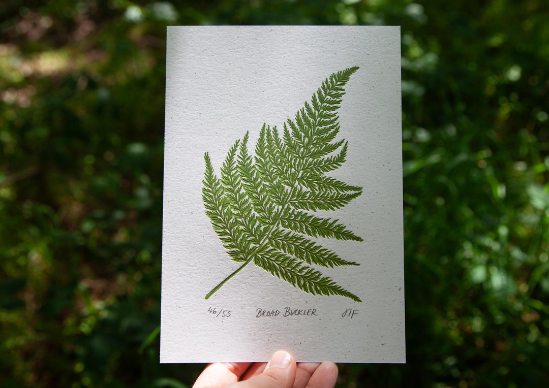 Broad Buckler Fern A5 Original Linocut Print Woodland - Etsy