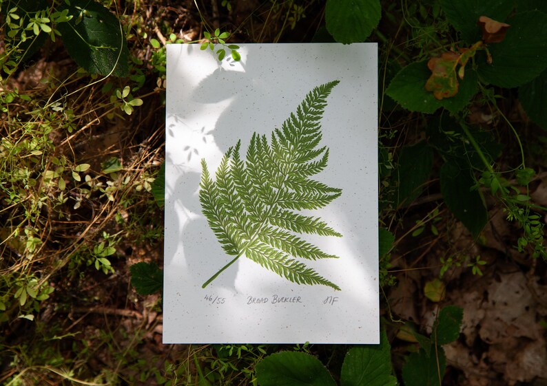 Broad Buckler Fern A5 Original Linocut Print Woodland - Etsy