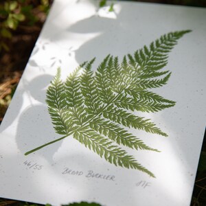 Broad Buckler Fern A5 Original Linocut Print Woodland Series by Hannah ...