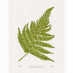 Broad Buckler Fern A5 Original Linocut Print Woodland Series by Hannah ...