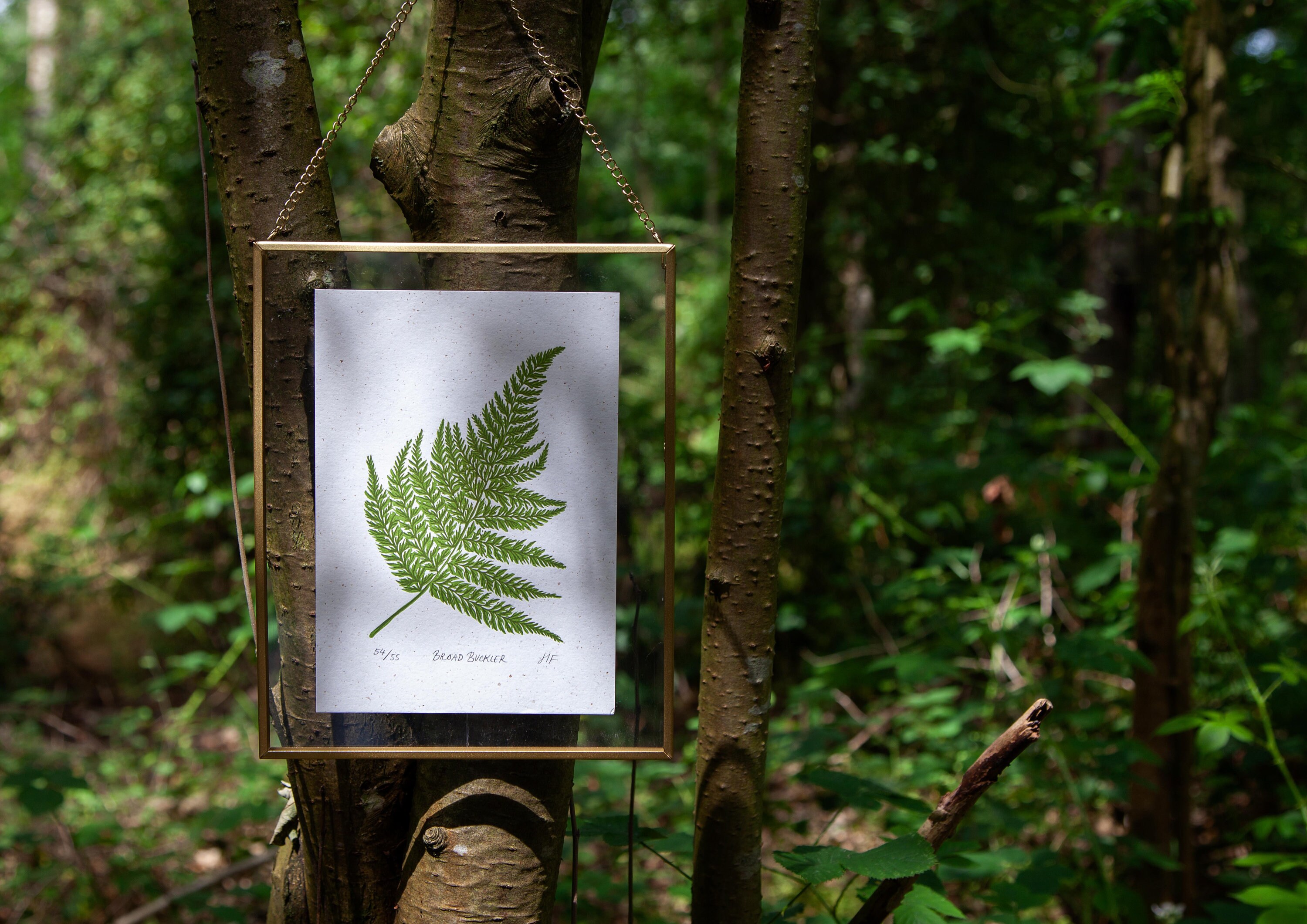 Broad Buckler Fern A5 Original Linocut Print Woodland - Etsy