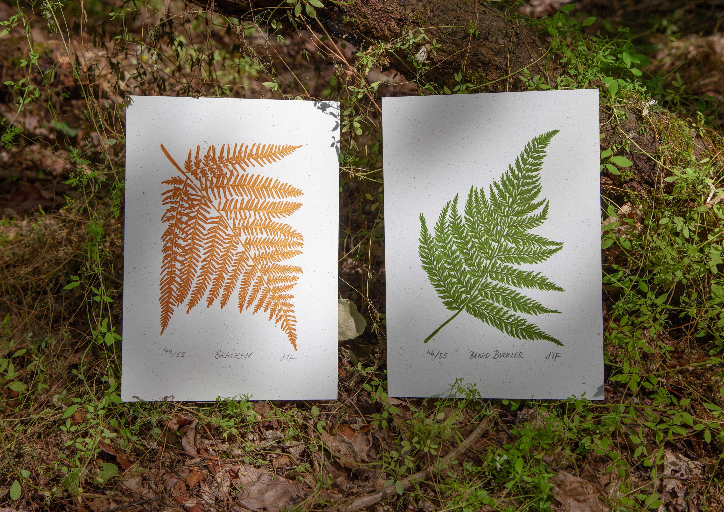Broad Buckler Fern A5 Original Linocut Print Woodland - Etsy