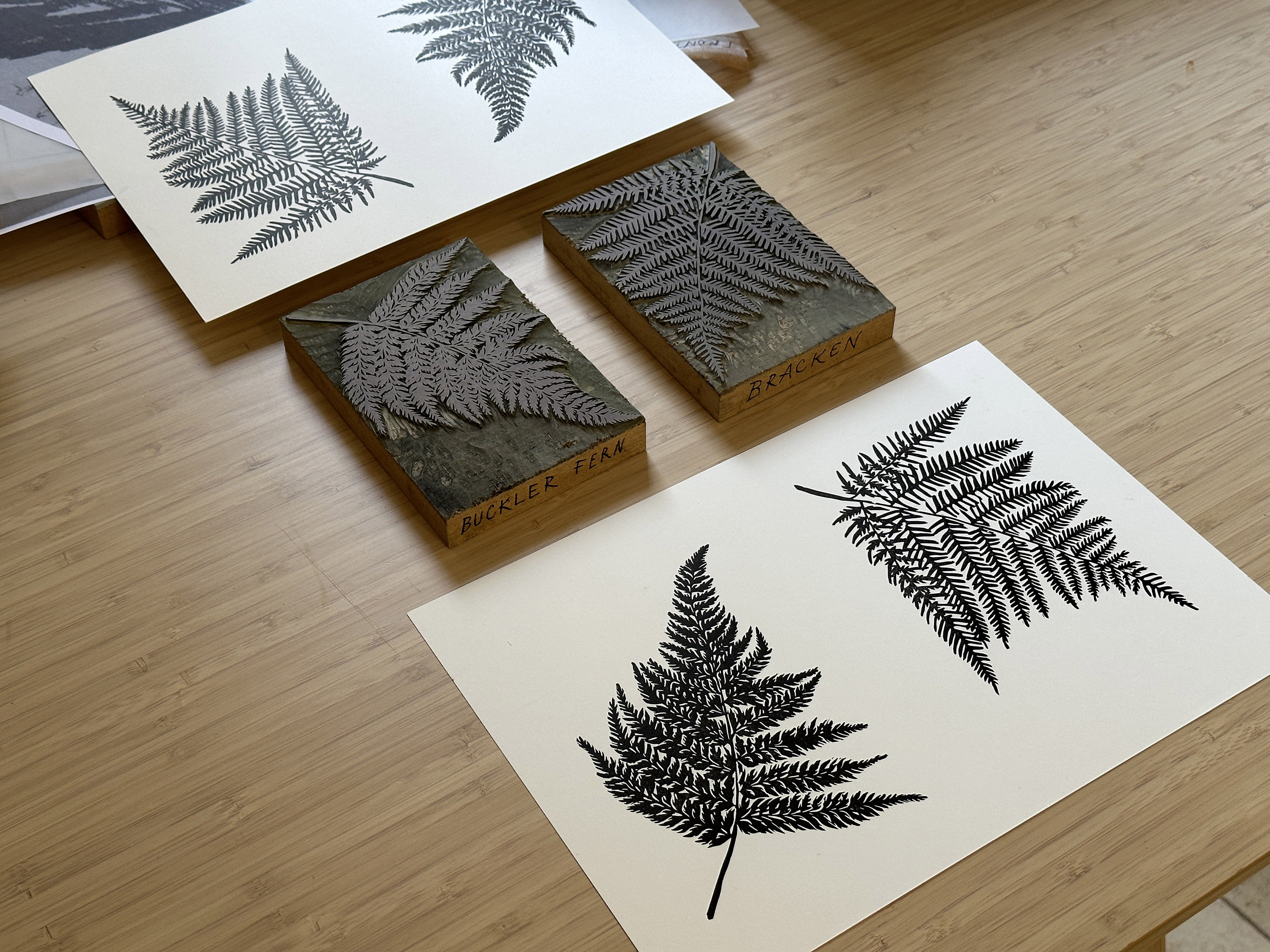 Broad Buckler Fern A5 Original Linocut Print Woodland - Etsy