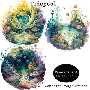 Tide Pool Clipart: Watercolor Ocean PNG Files, Commercial Use (digital ...