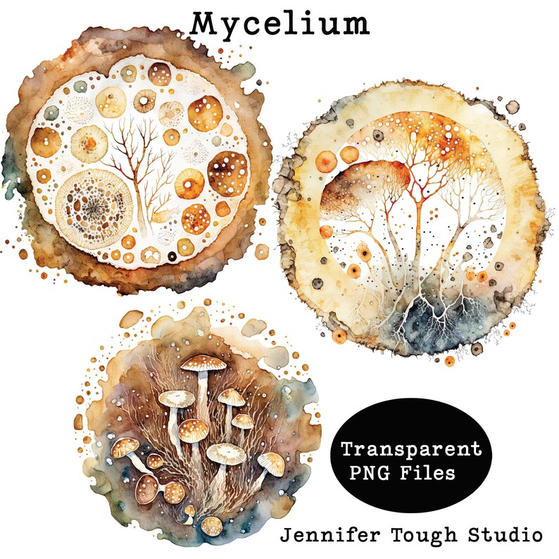 Mycelium Clipart PNG Files, Watercolor Style, Digital Download ...