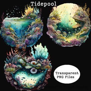 Tide Pool, Ocean Theme Large Clipart PNG Files, Watercolor Style ...