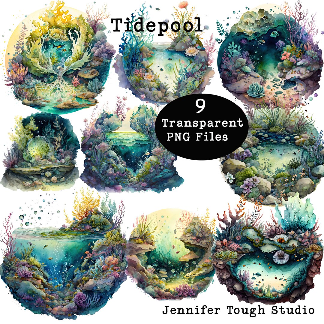 Tide Pool, Ocean Theme Large Clipart PNG Files, Watercolor Style ...