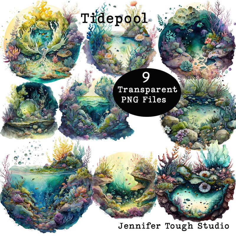 Tidepools - Etsy