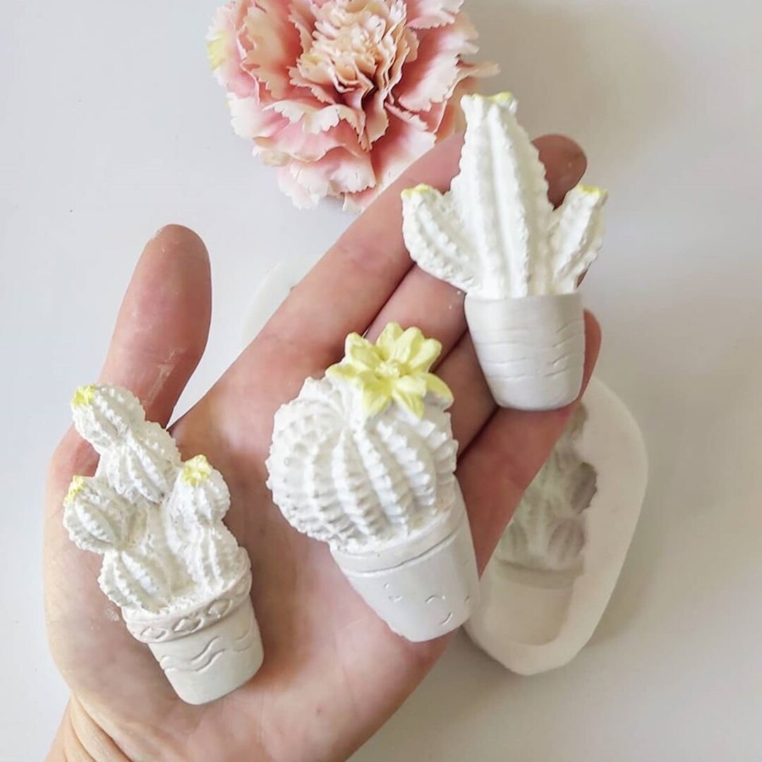 Cactus Succulent Silicone Moulds Set - Etsy