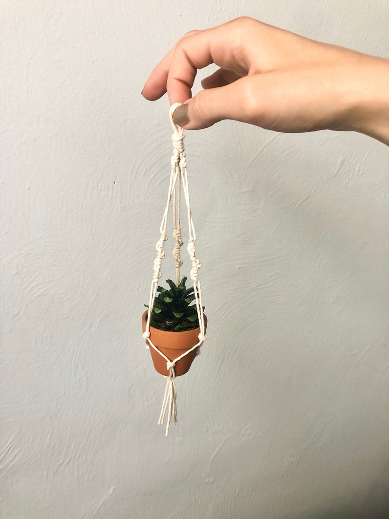 Mini Macramé Plant Hanger faux Planthandmadepineconehouse Plantgift ...