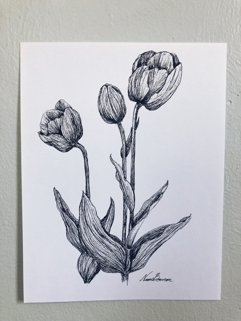 Tulip Print (ink Pen, Spring, Herbal, Botanical Sketch) - Etsy