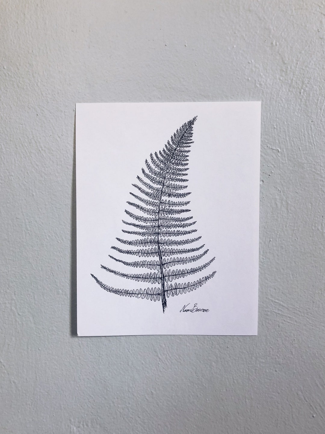 Fern Print (ink Pen, Herbal, Botanical Sketch) - Etsy