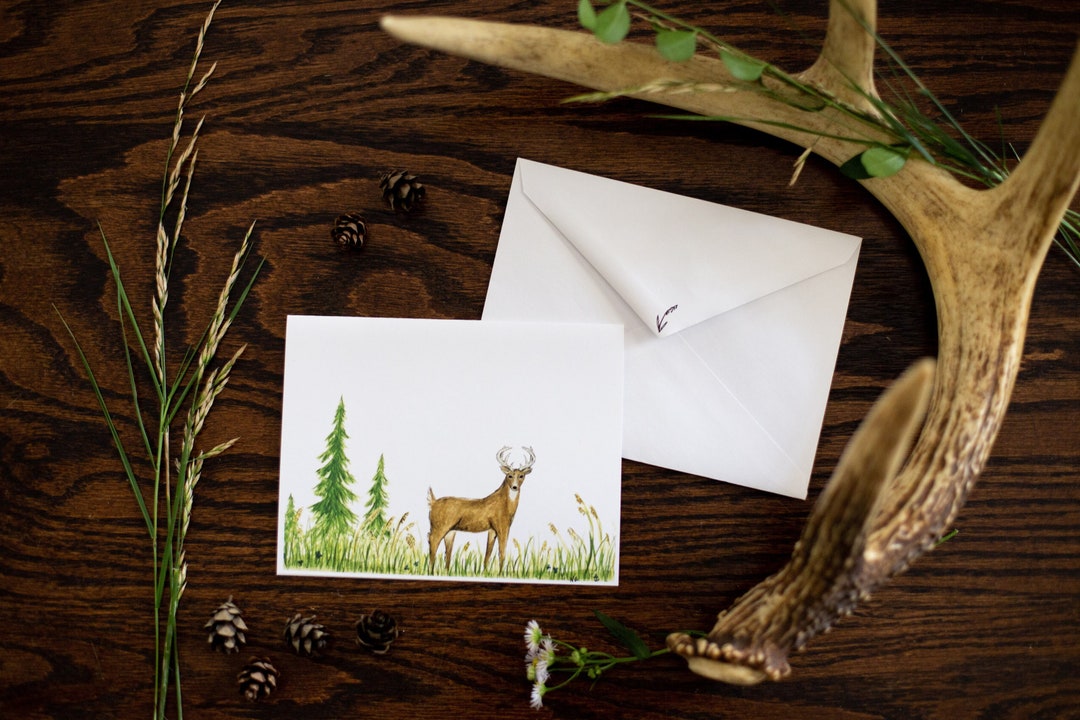 Woodland Whitetail Deer Cards |handmade|original Art|buck|nature|plants ...