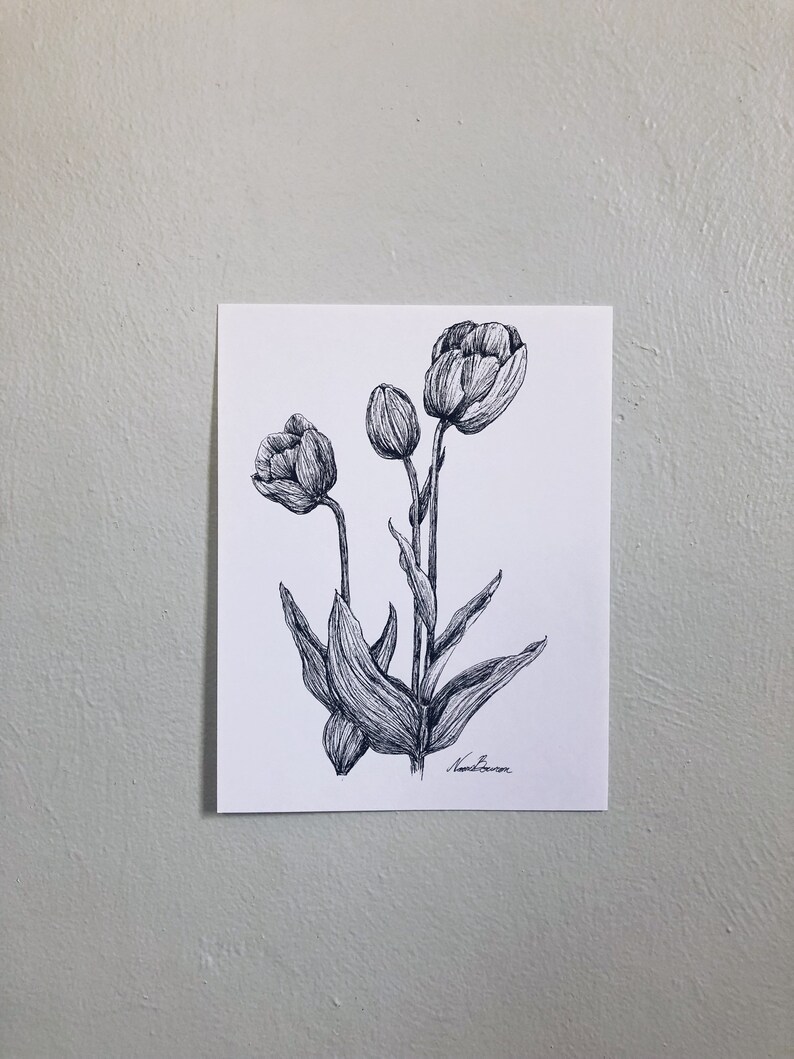 Tulip Print (ink Pen, Spring, Herbal, Botanical Sketch) - Etsy
