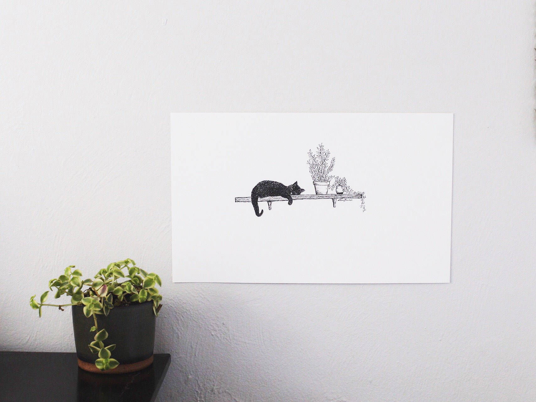 Cat Nap Print ink Pen, Plants, Cat Lover, Freehand Sketch - Etsy