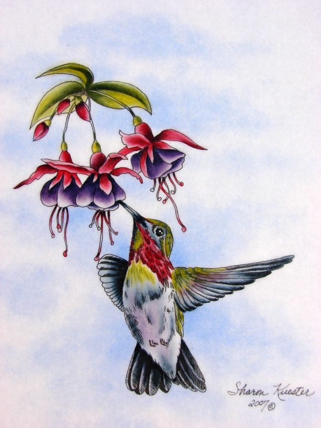E PACKET Pen & Ink Oil Rouging - Hummingbird Painting Pattern, Art Kit ...