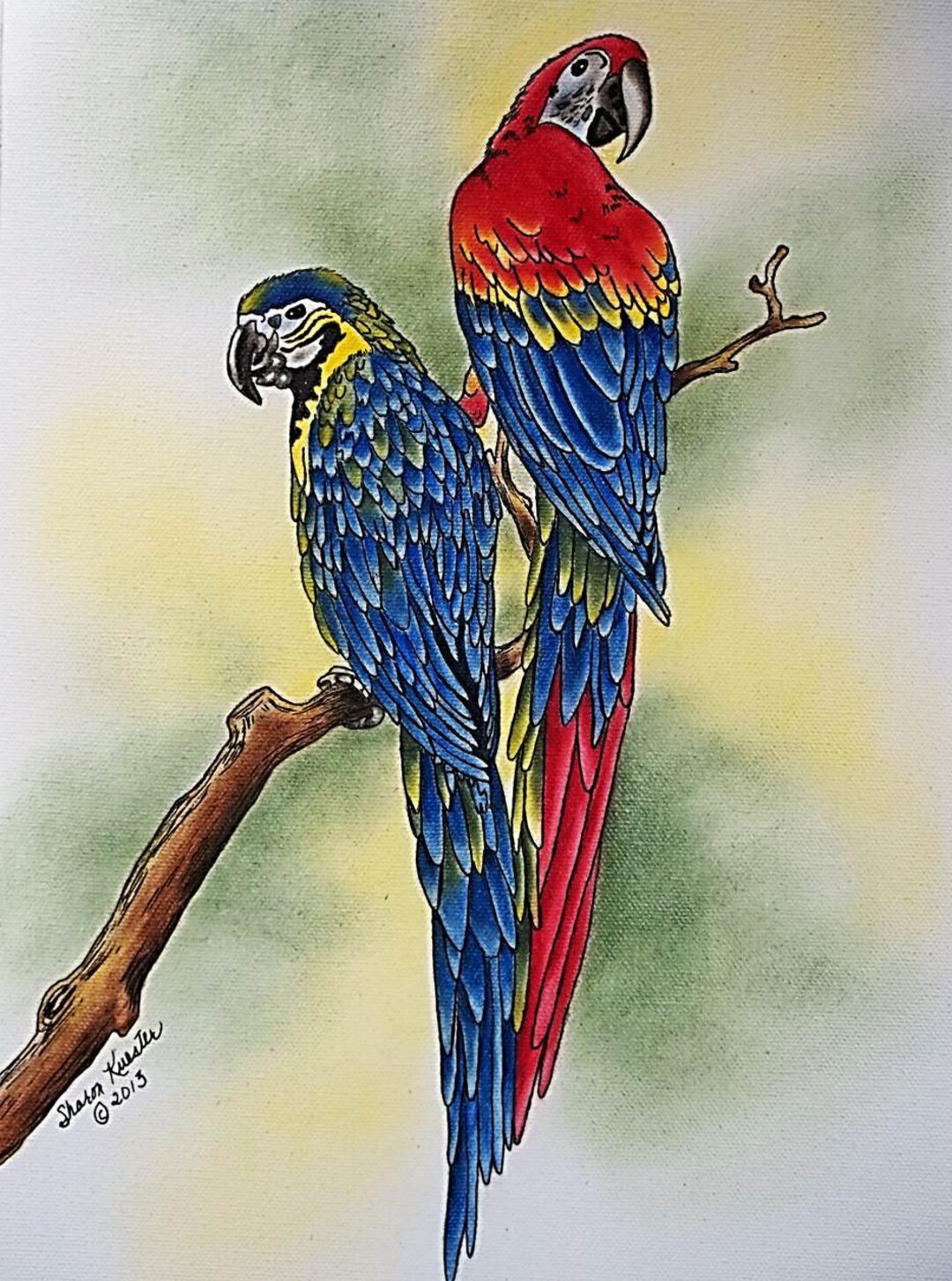 E PACKET Pen & Ink Oil Rouging - Macaw Painting Pattern, Art Kit ...