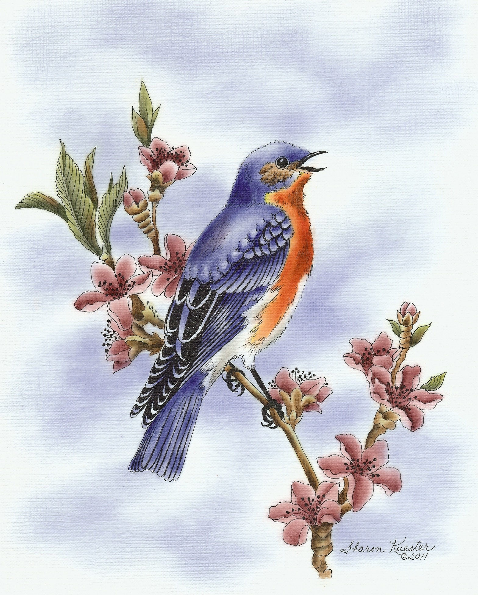 E PACKET Pen & Ink Oil Rouging - Bluebird Painting Pattern, Art Kit ...