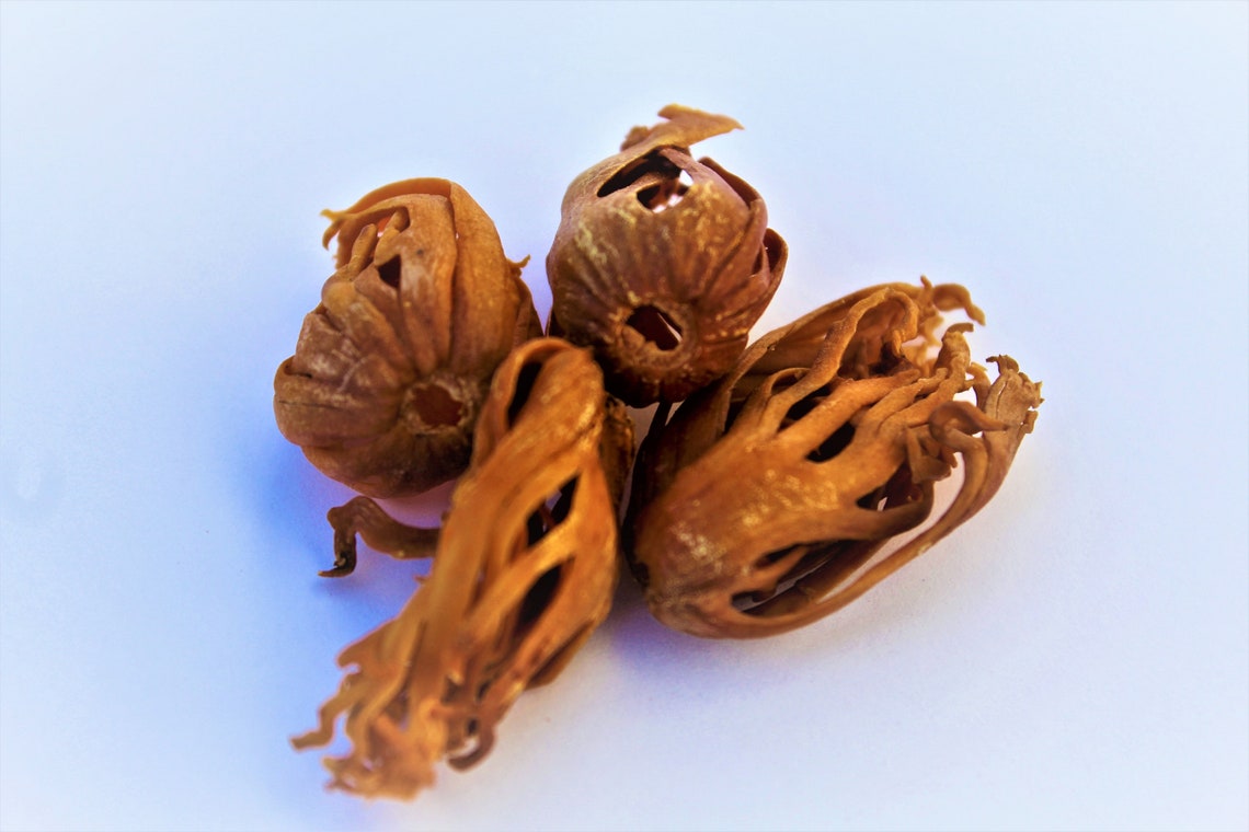Organic Mace whole 2 Oz / 4 Oz - Etsy