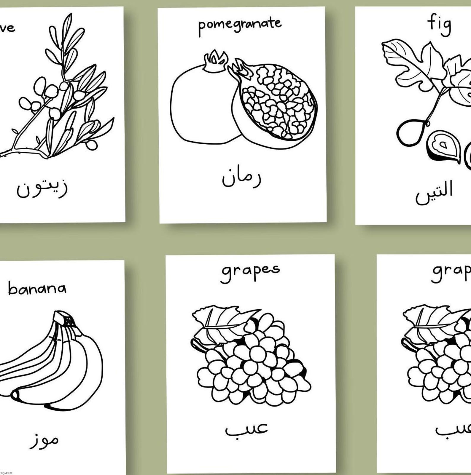Fruits of the Quran Educational Unit Coloring & Activity Pages for ...