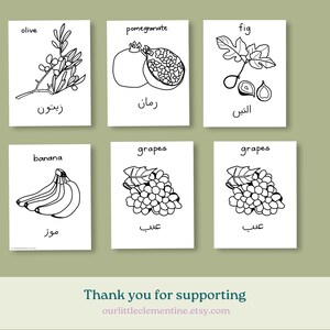 Fruits of the Quran Educational Unit Coloring & Activity Pages for ...