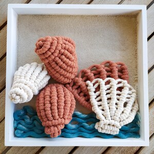Macrame Ocean Wall Art, Scallop Seashell and Conch Shell Shadow Box ...
