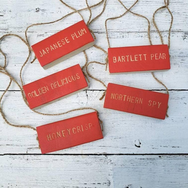 Tree Branch Tag - Etsy