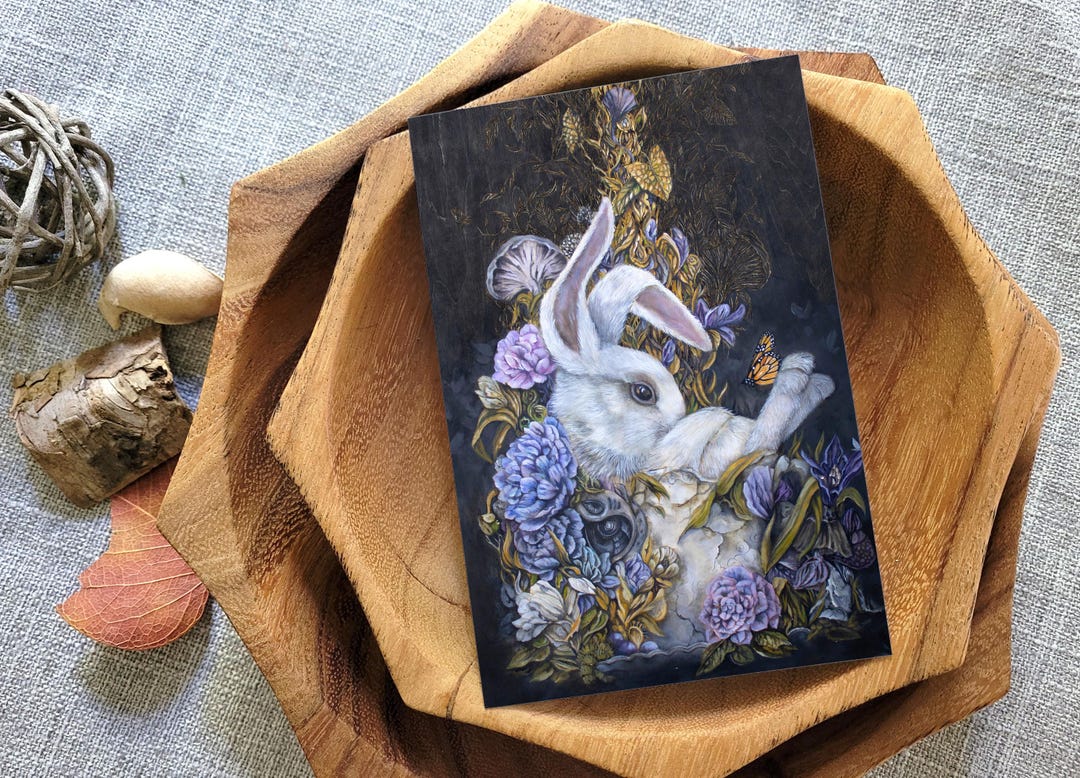 White Rabbit Notecards With Envelopes, 4" X 6" Cards for Any Occasion ...