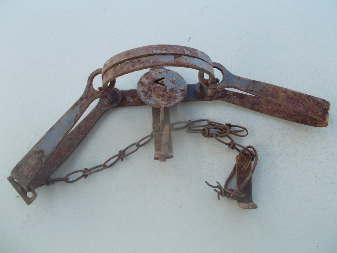 Vintage Old 3 Victor Long Spring Trap Great for Decor in Your Cabin or ...