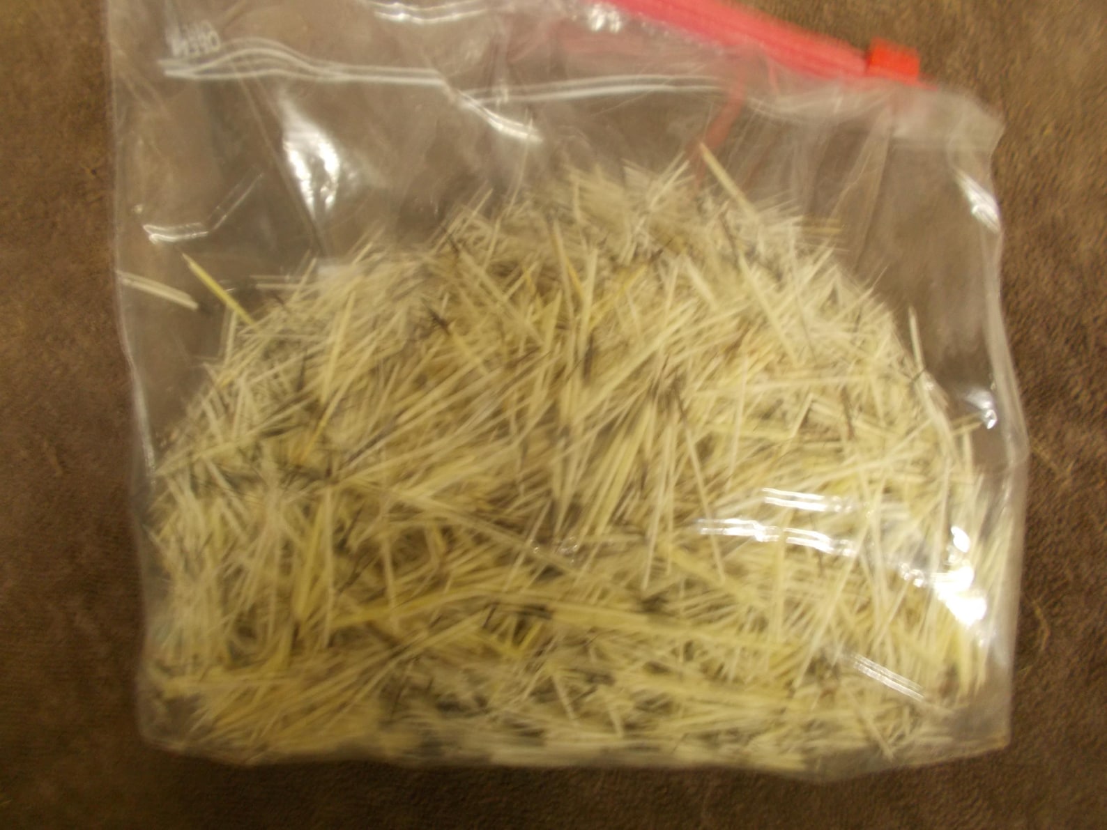 2 Oz of Great Quills for Your Craft Needs These Are Wrapping Quills - Etsy