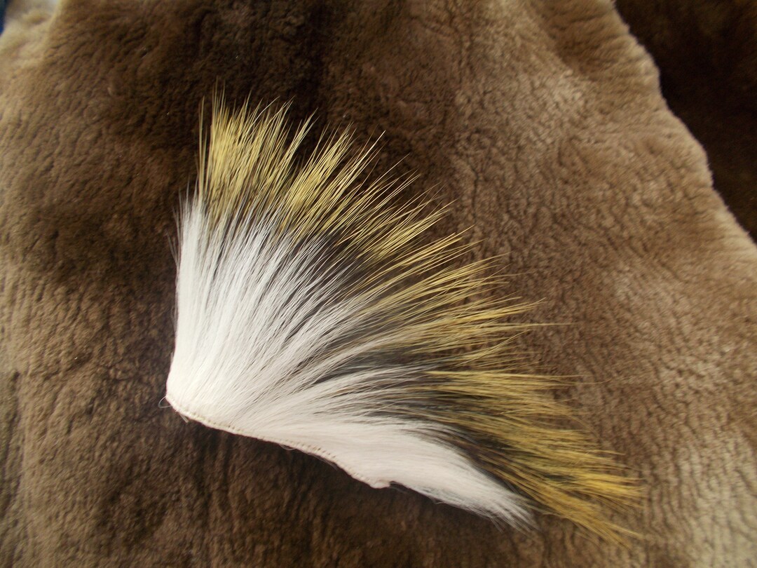 Miniature Porcupine Guard Hair Roach 4" White Yarn Base With White Deer ...