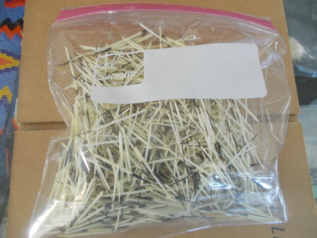 Here is 1/4 Oz of Real Nice Quills Great Wrapping Quills or Crafts This ...