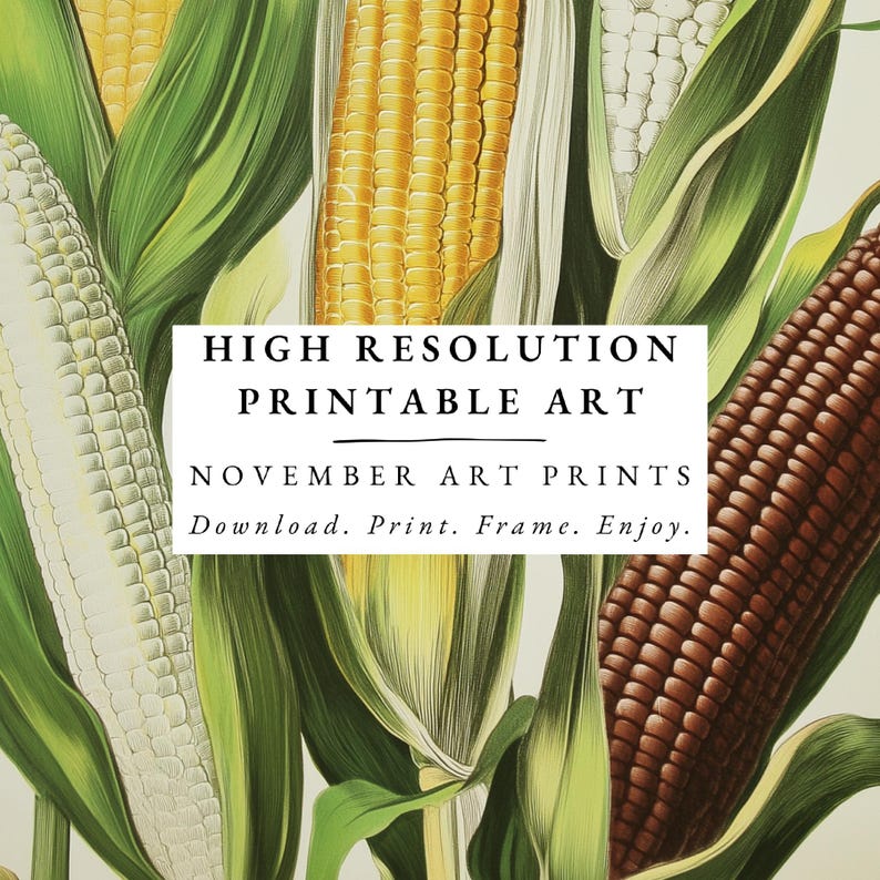 Printable Vintage Corn Illustration Rainbow Corn Print Retro Kitchen ...