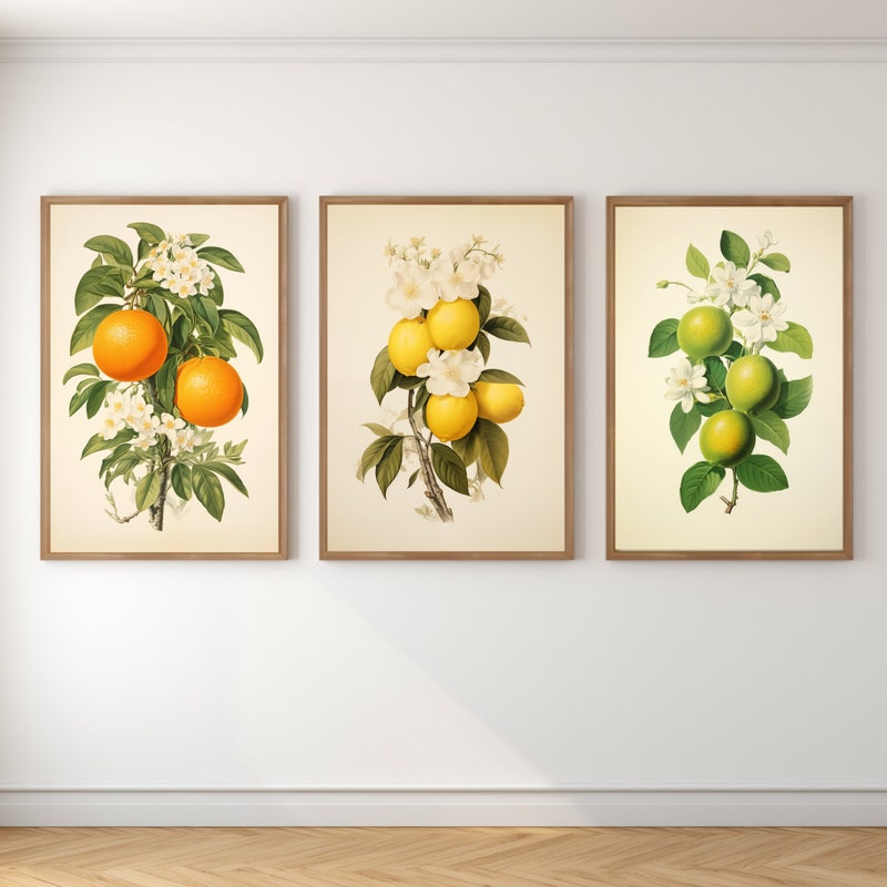 Citrus Print - Etsy