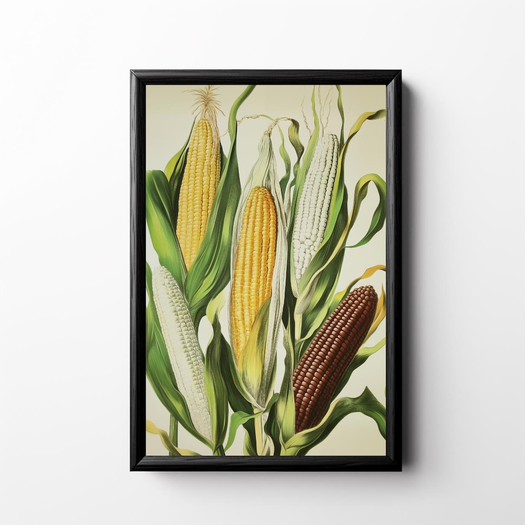 Printable Vintage Corn Illustration Rainbow Corn Print Retro Kitchen ...