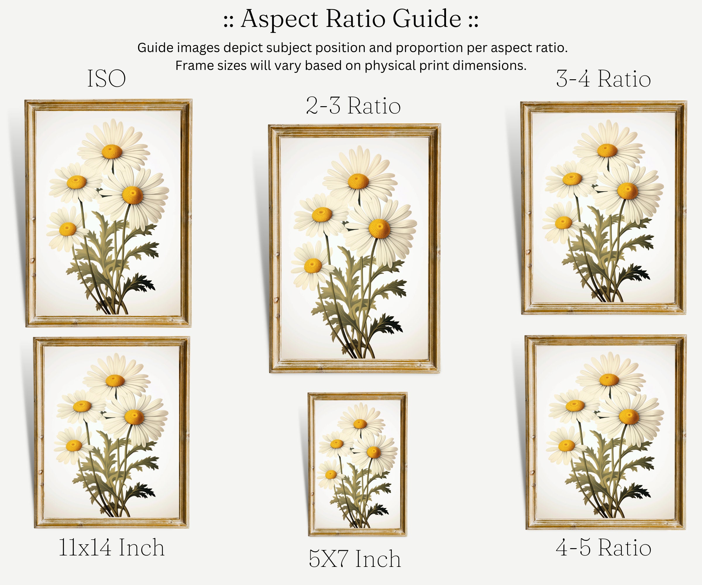 Daisy Lithograph Style Print, Printable Daisies Wall Art, Daisy Flower ...