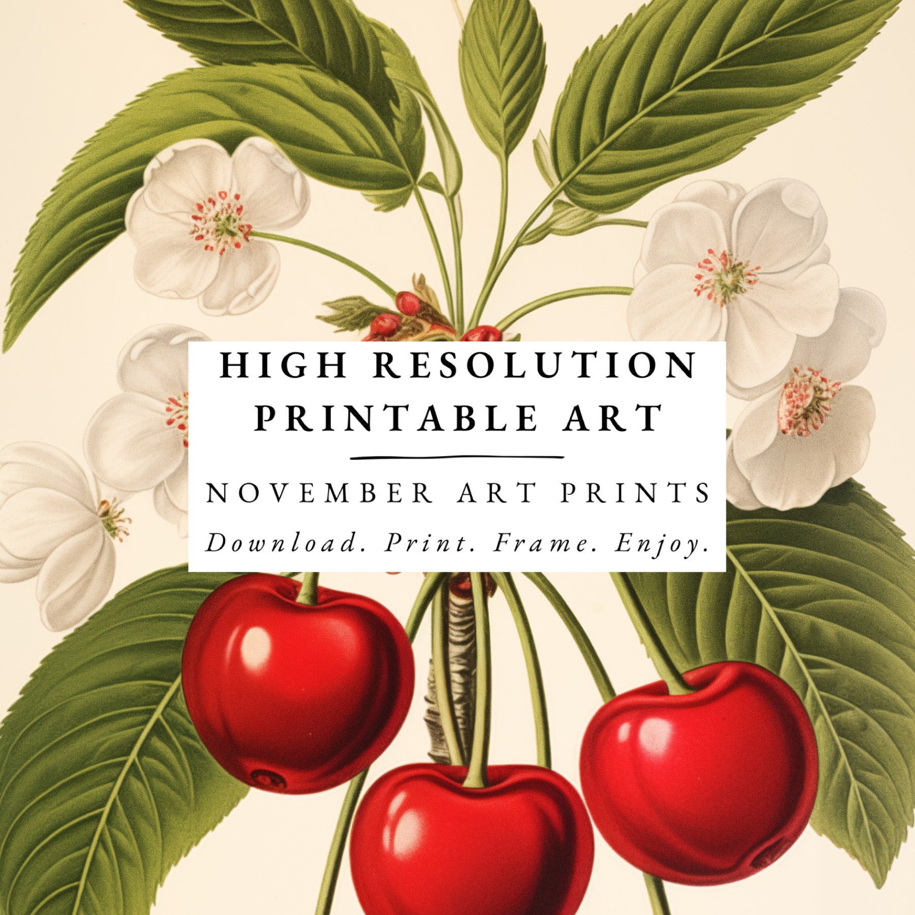 Vintage Cherries Art Print, Printable Cherry Wall Art, Vintage ...