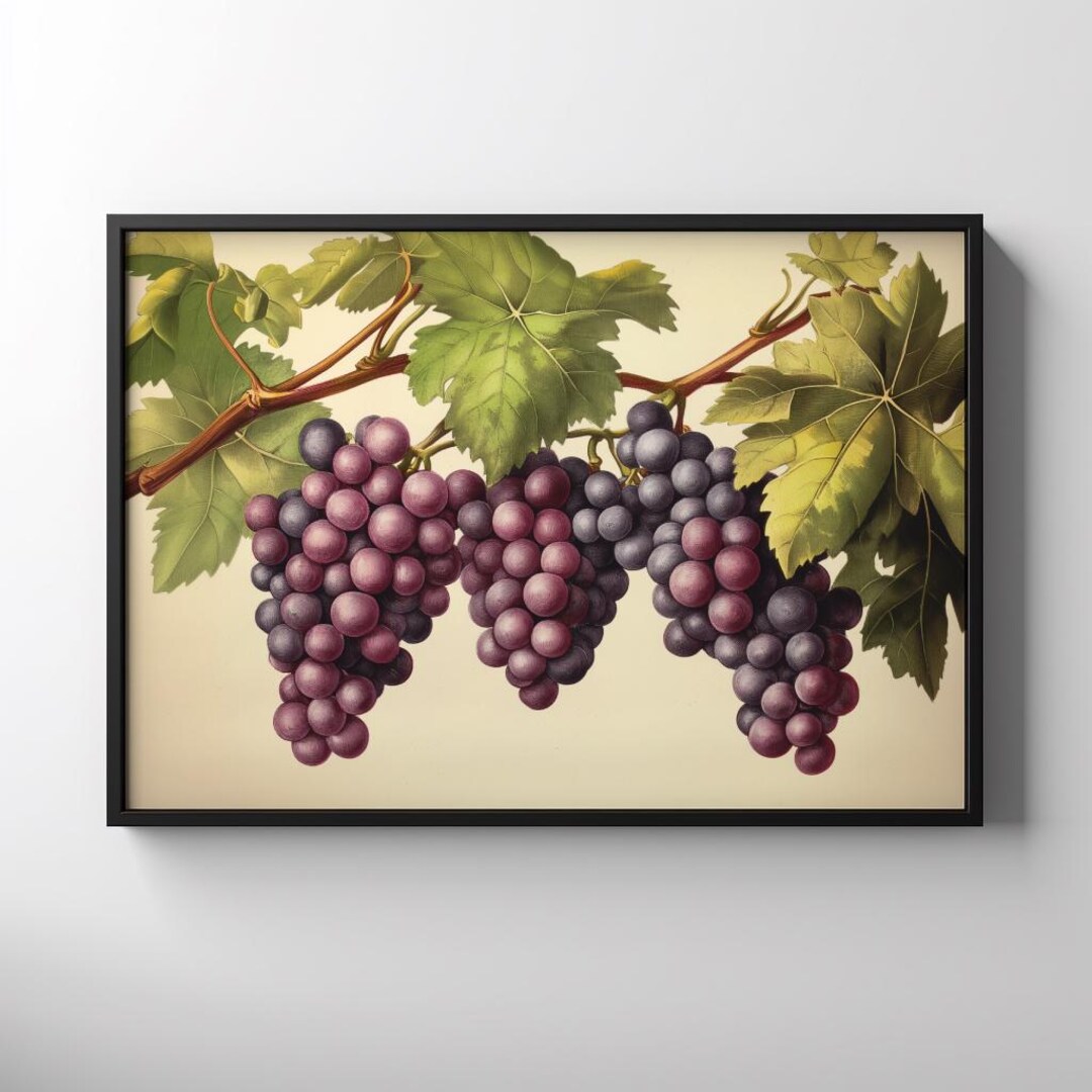 Vintage Grape Vine Print Printable Vineyard Wall Art Winery Artwork ...