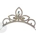 Fancy Nancy Crown,fancy Nancy Tiara,fancy Nancy Costume, Fancy Nancy ...