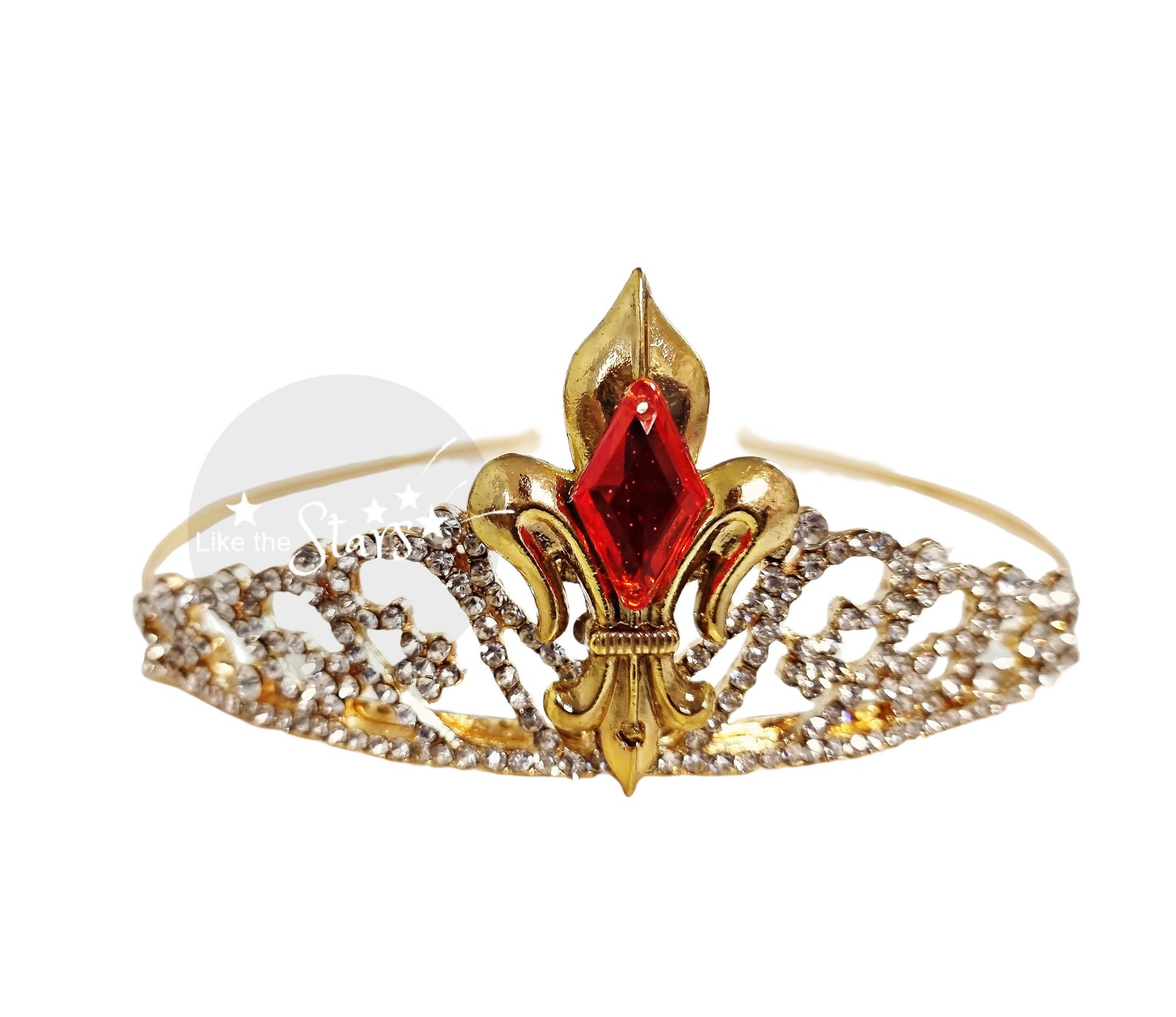 Princess Fiona Crown, Princess Fiona Costume, Princess Fiona Birthday ...