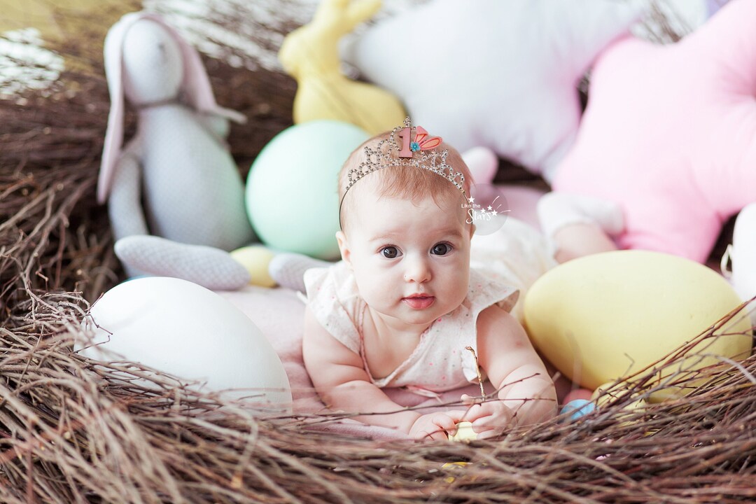 NEW Bunny Birthday Crown, Bunny Ears Headband, Easter Bunny Tiara ...