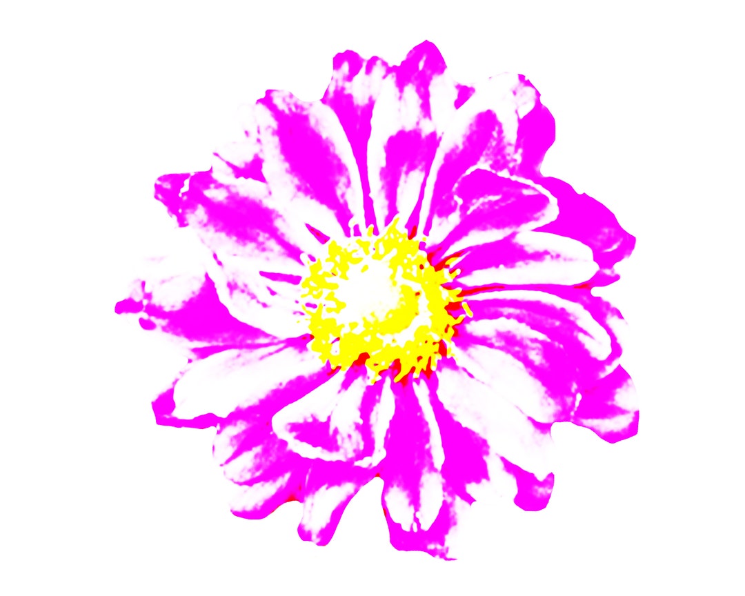 Pink Flower Mural Design - Etsy