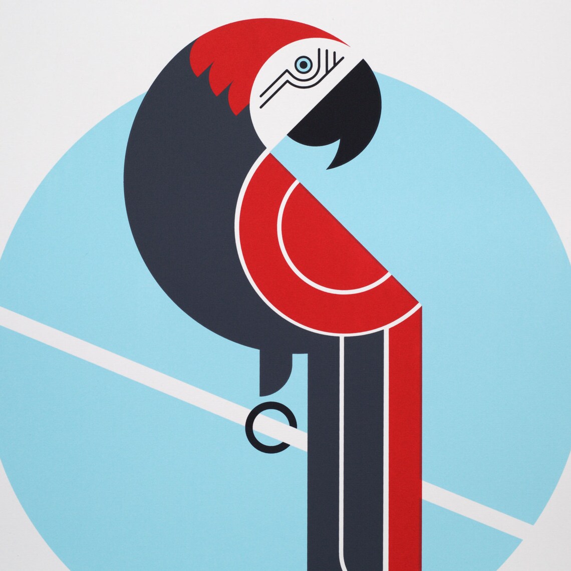 Parrot A2 Limited Edition Screen Print Hand-printed in 4 - Etsy