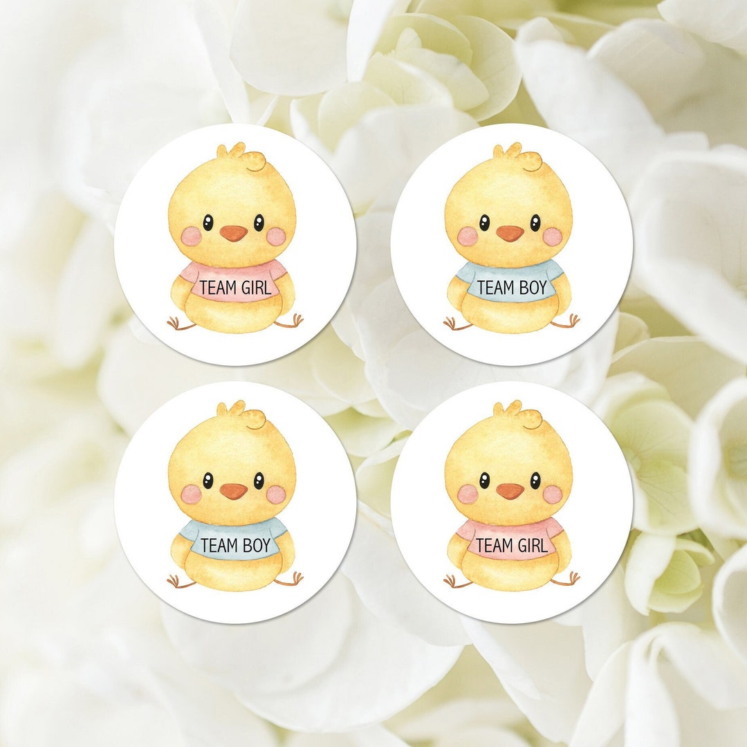 Baby Chick Gender Reveal Party Stickers, Printable, Team Girl, Team Boy ...