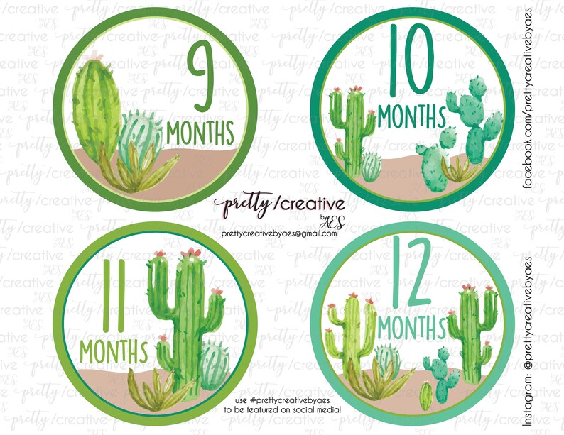 Month by Month Baby Stickers Cactus Cacti Succulent Theme | Etsy