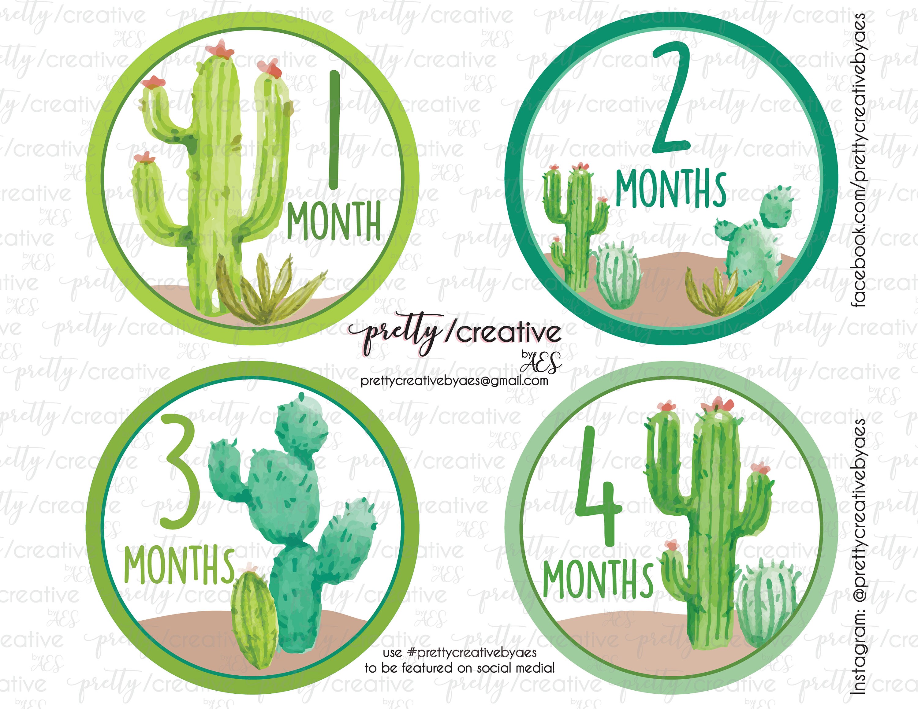 Month by Month Baby Stickers Cactus Cacti Succulent Theme | Etsy