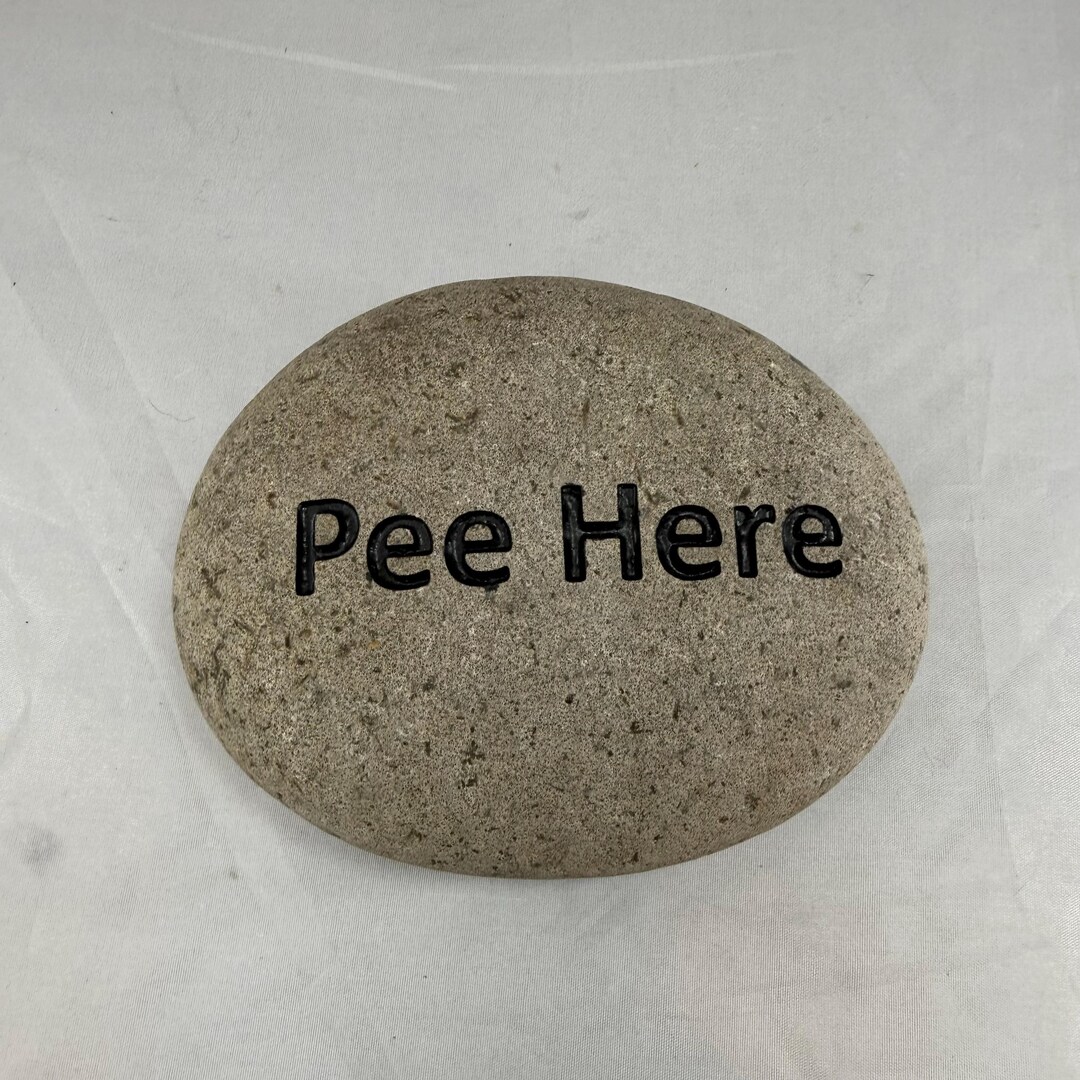 Sand-carved River Rock - “pee Here” - Etsy