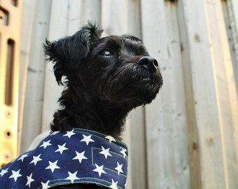 Jake the dog costume | Etsy