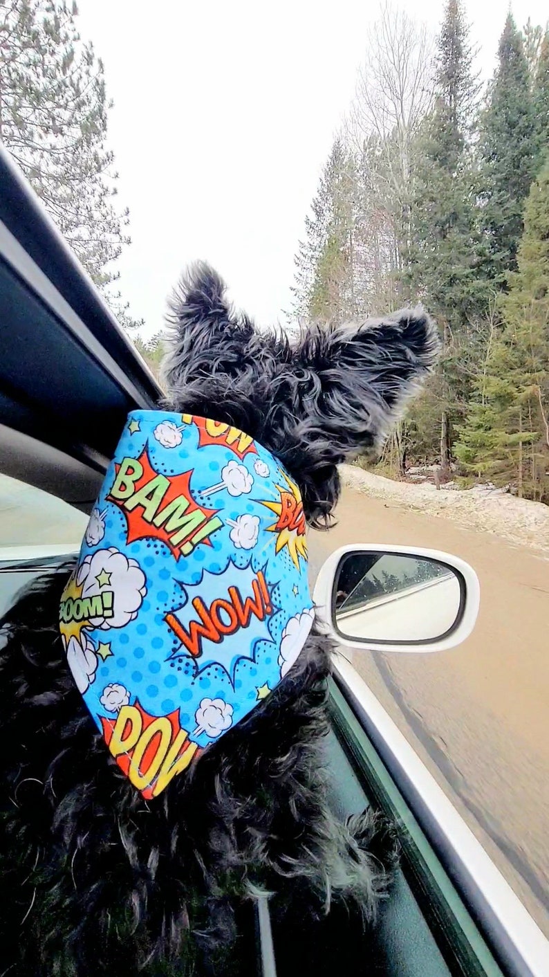 Comic Action Bam Pow Bandanna by Jumping Jake Dog Co. - Etsy
